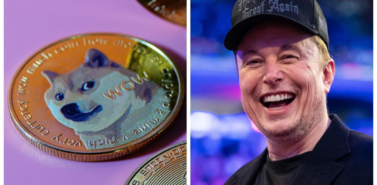 1分でわかる「DOGE」の解説…イーロン・マスクのお気に入りはどのように生まれたか | Business Insider Japan