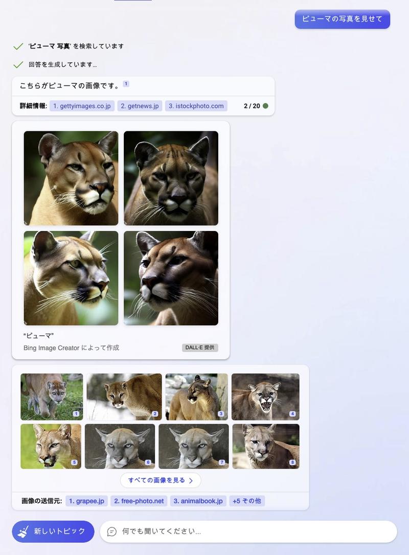 Bing AIの使い方。ChatGPTとはここが違う！【7月20日更新】 | ギズモード・ジャパン
