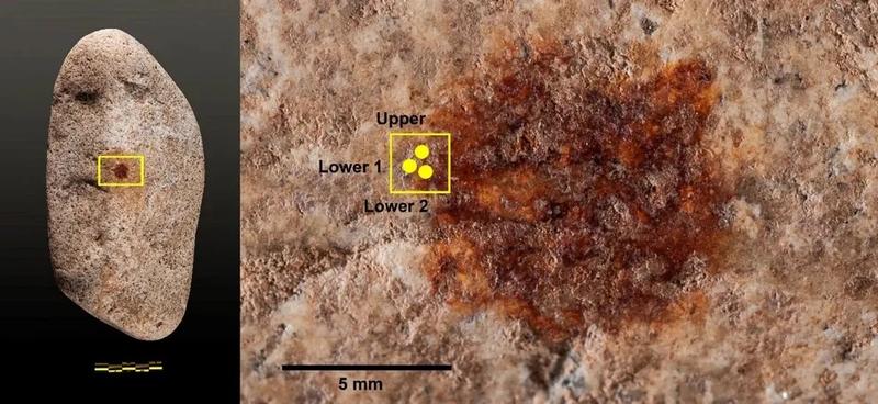 ネアンデルタール人が4万年前に残した「赤い点」の謎 | ギズモード・ジャパン