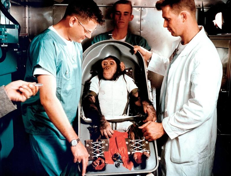 犬やチンパンジーだけじゃない。宇宙に行った（人間以外の）生き物たち | ギズモード・ジャパン