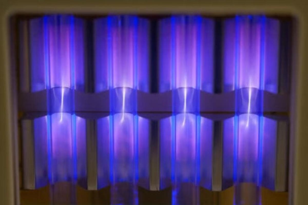 最新研究。猫アレルギー、UVライトで無効化できるかも？ | ギズモード・ジャパン