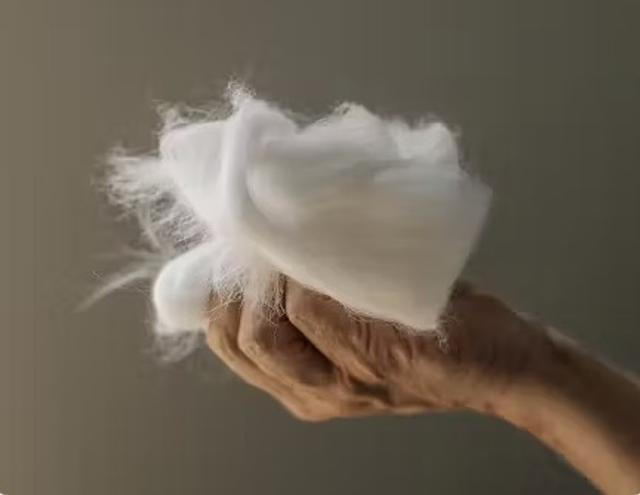 充電要らずのスマートリング｢EVERING｣、NTTドコモから発売です | ギズモード・ジャパン