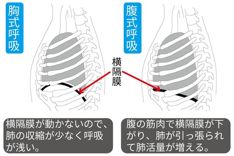 たった5分で肺活量アップ？ 手軽に呼吸を鍛えられるユニークなトレーニングガジェット「ABELFIT」が登場 | ライフハッカー・ジャパン