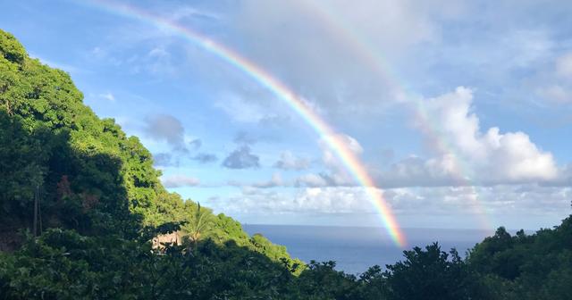 ハワイで生まれ育った筆者が明かす、島暮らしの良いところと悪いところ | Business Insider Japan