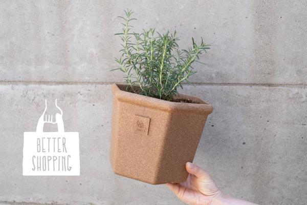 ようやく見つけた「正解の植木鉢」。軽くて扱いやすいのに長く使い続けられる秘密があった