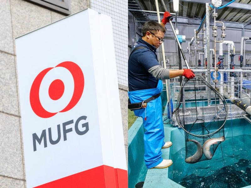 有望ベンチャーを逃さない。MUFGが実現した“グループ横断・高効率”スタートアップ戦略 | Business Insider Japan