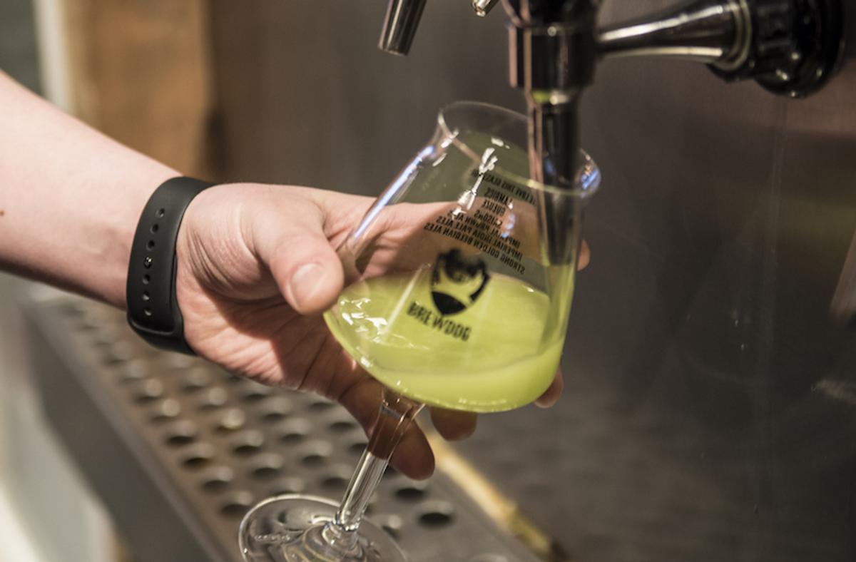 ビールサーバーからお茶！？BrewDogと東京茶寮がコラボして生まれた「NITRO Green Tea」とは？ | ROOMIE（ルーミー）