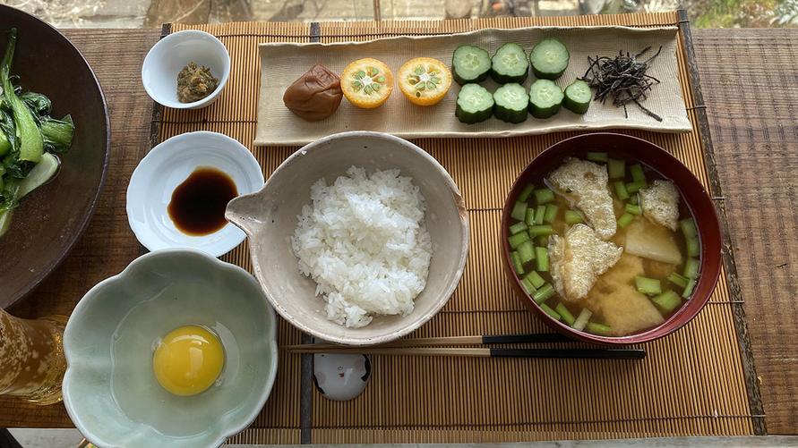 遠い国を、美味しい美味しいと叫びながら旅した気分【こぐれひでこの「ごはん日記」】 Roomie(ルーミー)