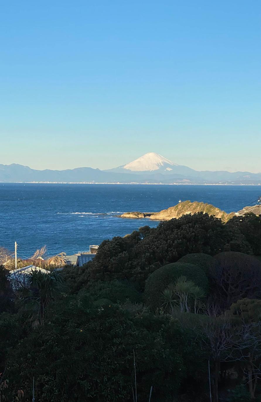 海の幸を堪能して満足、満足!【こぐれひでこの「ごはん日記」】 Roomie(ルーミー)
