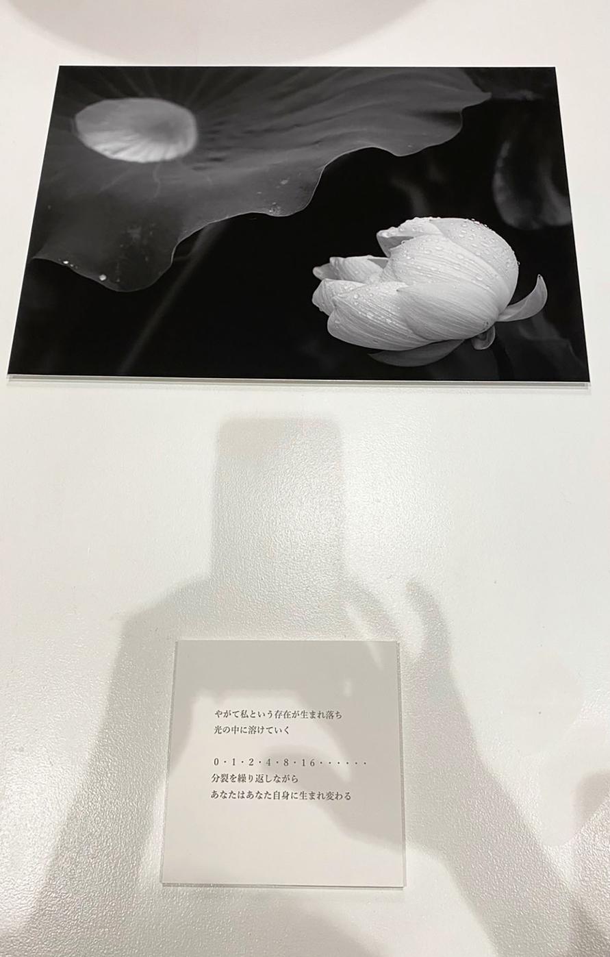 学生気分になって、言いたい放題におしゃべりをしました【こぐれひでこの「ごはん日記」】 Roomie(ルーミー)