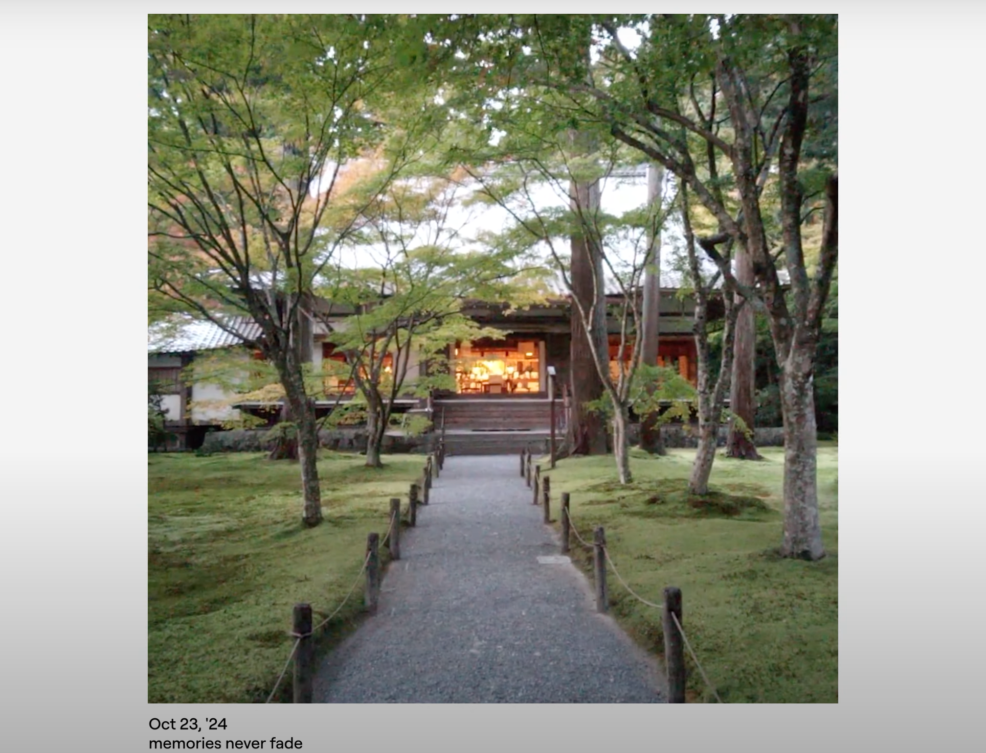 まったく新しい動画版コンデジ「kyu camera」はコンパクトで思い出を見返したくなる魅力が詰まっている | ROOMIE（ルーミー）