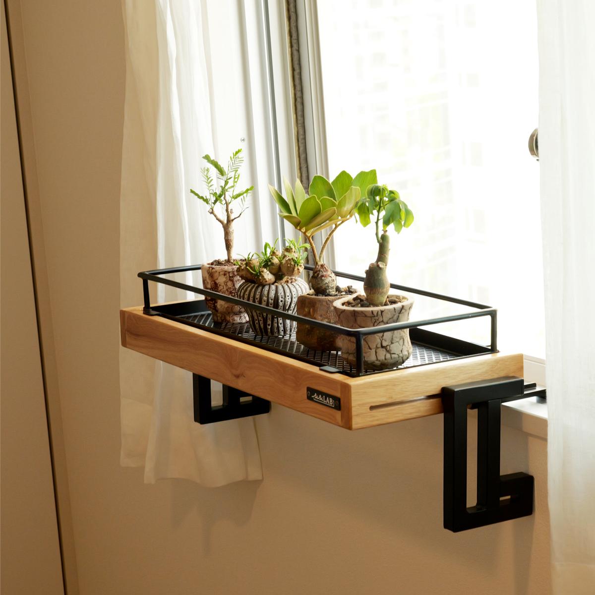観葉植物、置きたいけど場所がない…。ネジ・釘不要のこれで「窓際に浮かせる」が正解かも！【ROOMIEライターのコレ気になる】 : J-CAST トレンド