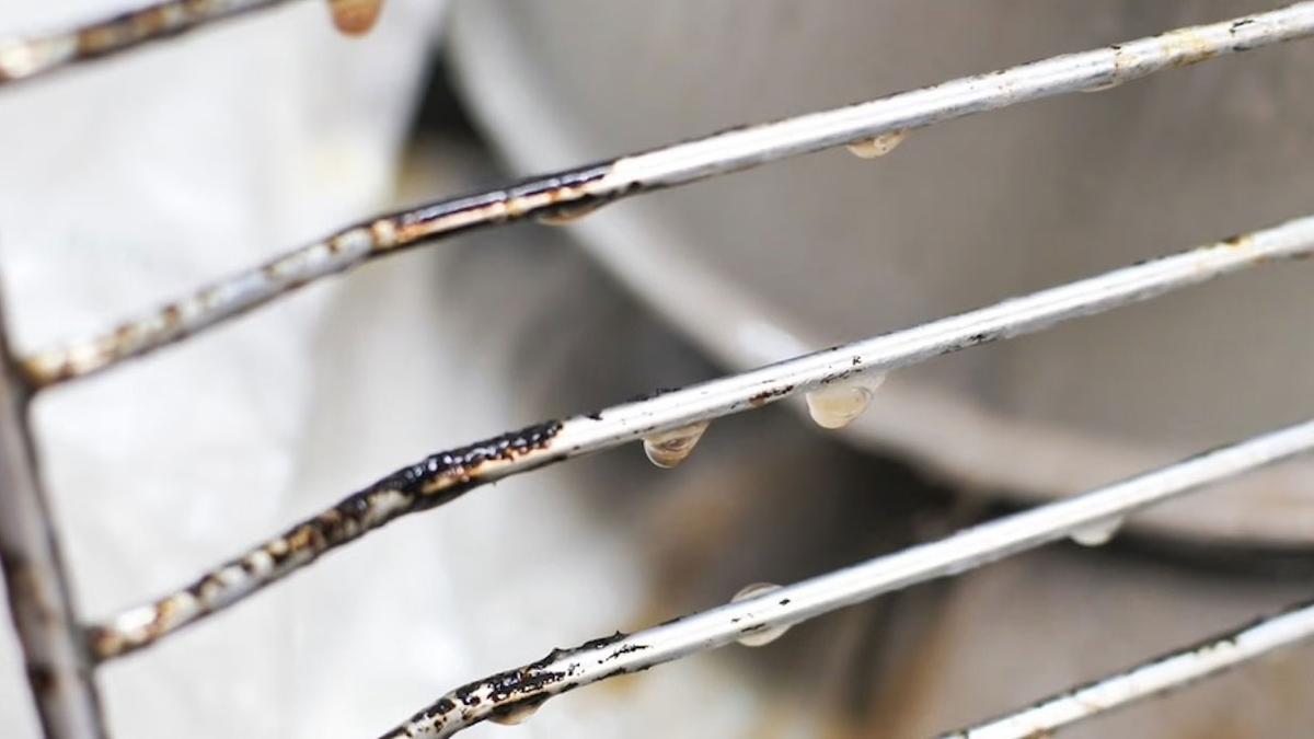 吹きかけるだけで「グリルのコゲ」がピカピカに！ アズマジック、効果てきめんでした | ROOMIE（ルーミー）